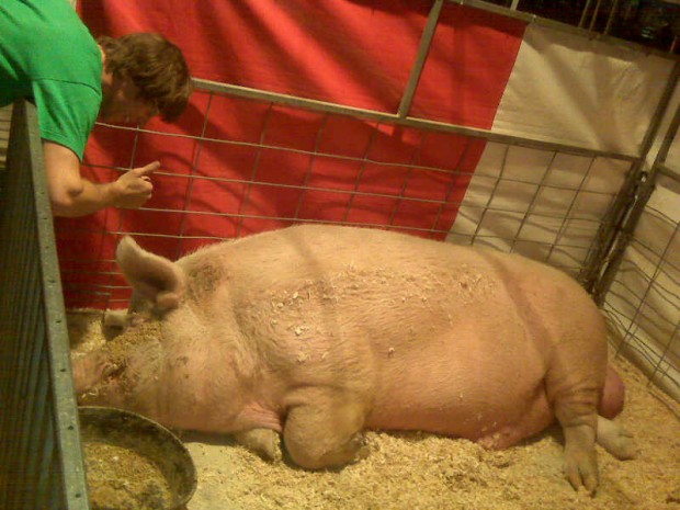 Seven Deadly Sins Sunday: Gluttony Part 1 | sevendeadlysynapses.com